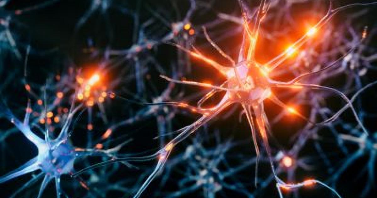 New Cell Types Identified in Parkinson’s | Parkinson's Foundation