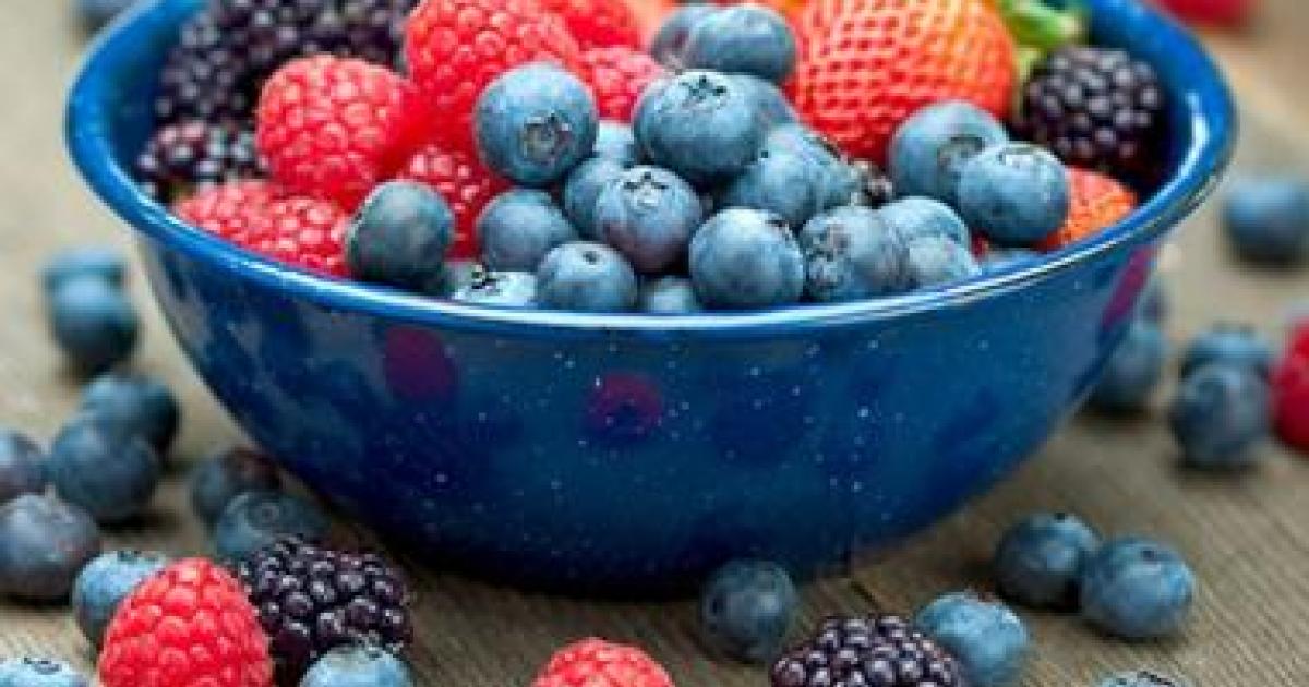 Berry Compound Reverses Parkinson's in Mice | Parkinson's Foundation